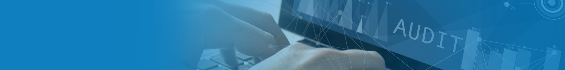 Technology Audit: Information Technology Audit and Analysis Service ...